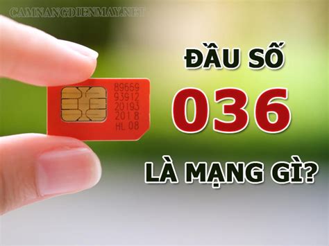 Đầu Số 036 Là Mạng Nào 036 Là Mã Vùng ở đâu Cẩm Nang Điện Máy
