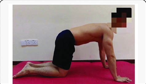 Starting Position For All Fours Belly Breathing Exercise Download