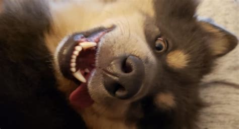 Mickey Theodore Mouse Fucking Dies R Kingdomhearts