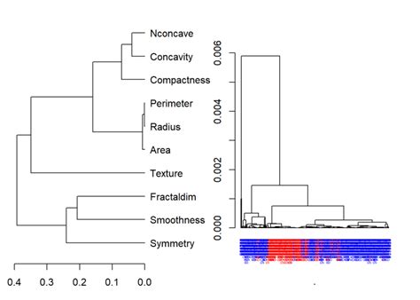 Beware When Using The Scale Parameter In Pheatmap Or Using Scaled Data