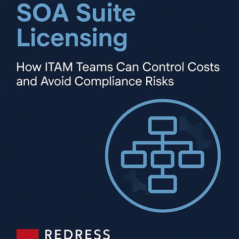 Oracle Soa Suite Licensing How Itam Teams Can Control Costs And Avoid Compliance Risks