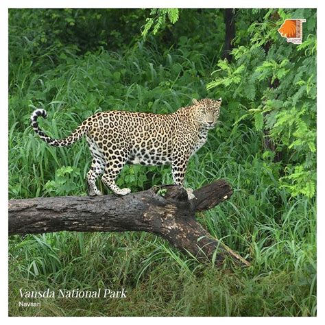 Vansda National Park Wordzz