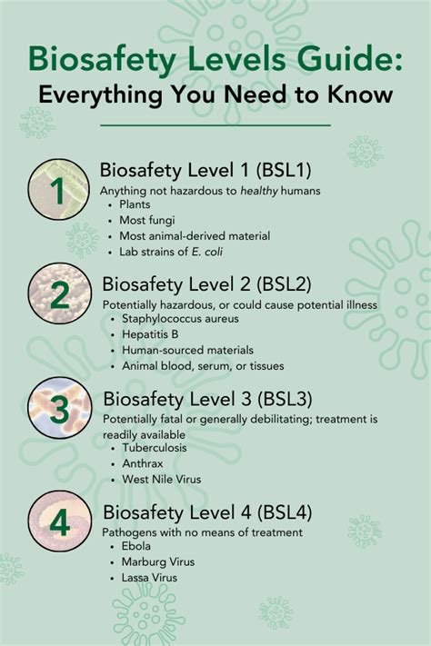 Biosafety Levels Guide Everything You Need To Know
