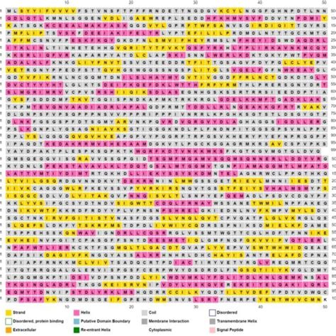 Pox Virus Structure The Left Figure Shows A Mature Virion And The Download Scientific Diagram