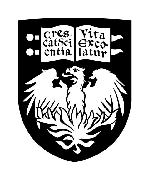 Logos And Identity Elements Uchicago Creative