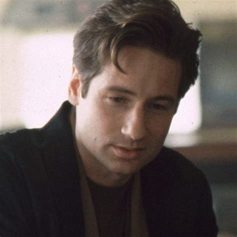 Nach 20 Jahren Foxy Fantasies Mit David Duchovny Wird Wiederholt