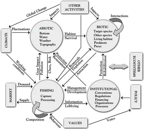 32 Best Images About Ecosystems Systems Thinking On Pinterest