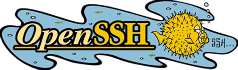 windows安装openssh 酷居科技