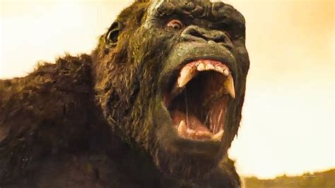 King Kong Roar Sound Effects Wiki At Alyssa Coode Blog