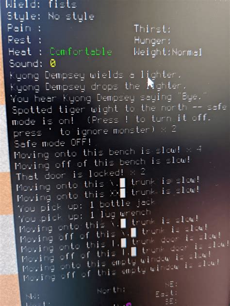 Weird Font Display Issue Rcataclysmdda