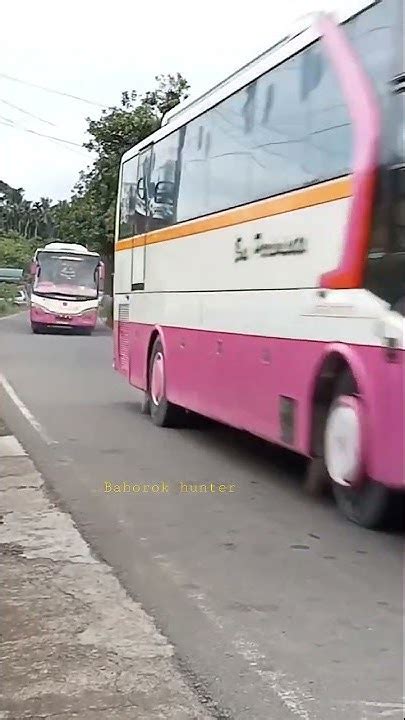 Dapat Dim Dari Crew Bus Pariwisata Dri Bukit Lawang Youtube
