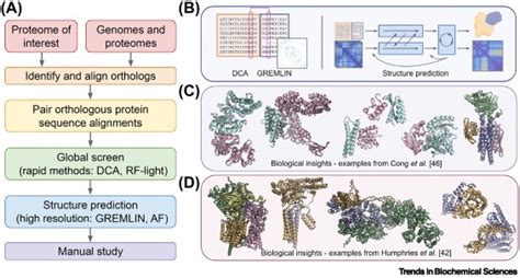 Recent Advances In Predicting And Modeling Proteinprotein Interactions