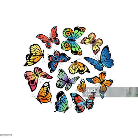 원 모양 그림에서 벡터 장식 나비 나비에 대한 스톡 벡터 아트 및 기타 이미지 나비 곡선 구도 Istock