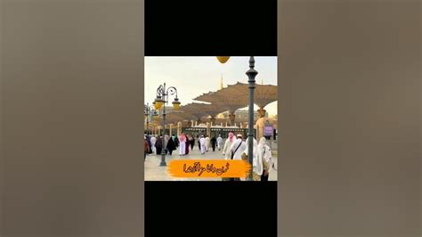 ٹرن داتا دا مزا آوندا Youtube