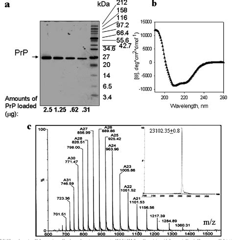 Figure 1 From The Same Primary Structure Of The Prion Protein Yields