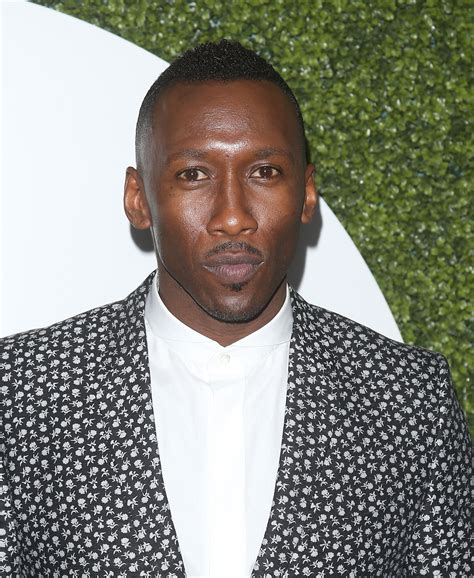 Mahershala Ali Moonlight Nominee Best Performance By An Actor In A Supporting Role In Any