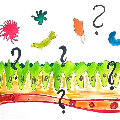 Mikrobióm Od Príčin K Riešeniam Zdravýživka Sk