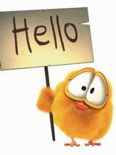 Funny Hello Pictures