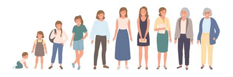 Human Lifespan Development Stages