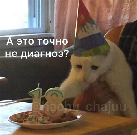 МЕМЫ On Instagram “Не знаю не уверена • • • др деньрождения 18лет