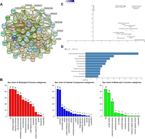 Slc6a8 Is A Potential Biomarker For Poor Prognosis In Lung