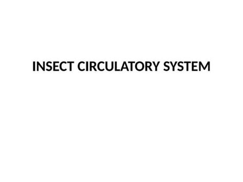 Insect Circulatory System Pptx