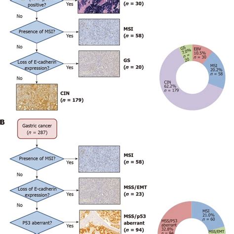 Flowchart Showing The Classification Of Molecular Subtypes And Final