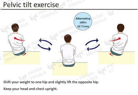 Pelvic Tilt Exercise Physio Visuals Illustrated Exercise Stretching And Rehabilitation Guides