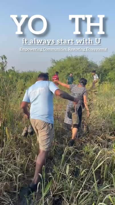 biswajeet samal on linkedin youth for mangroves