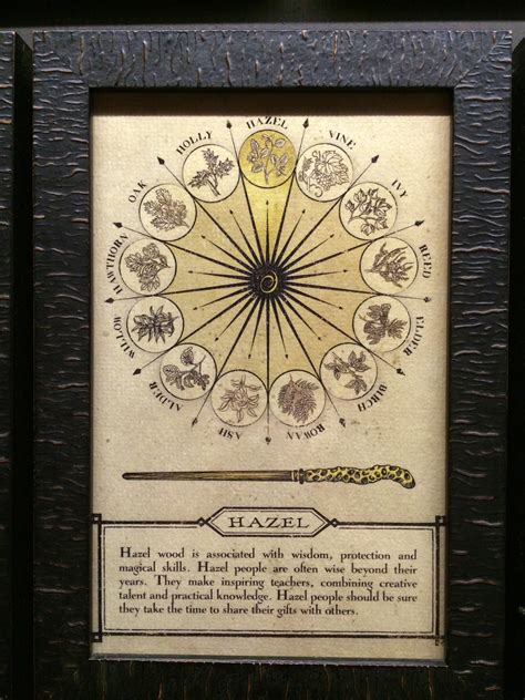 Harry Potter Edification In Progress