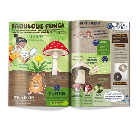 Like How Are Fungi Plants
