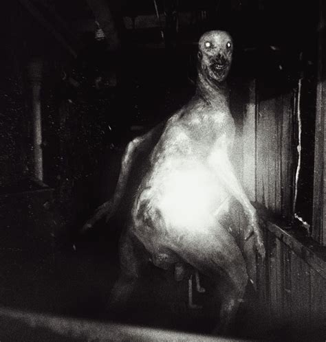 Scp 3199 The Scp Foundation Wiki Fandom