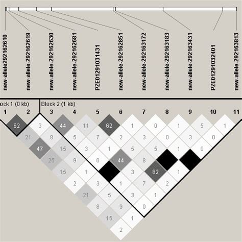 Haplotype And Ld Analysis Of The Grmzm2g179885 Maize Nac Gene The