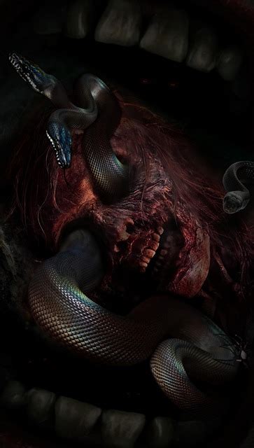 Download Two Headed Snake Snake Python Royalty Free Stock