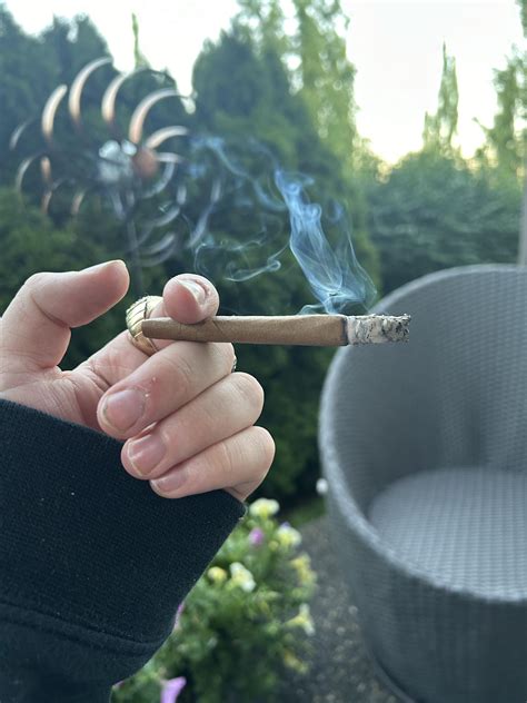 Why Does My Blunt Look Perfect 😂 R Trees