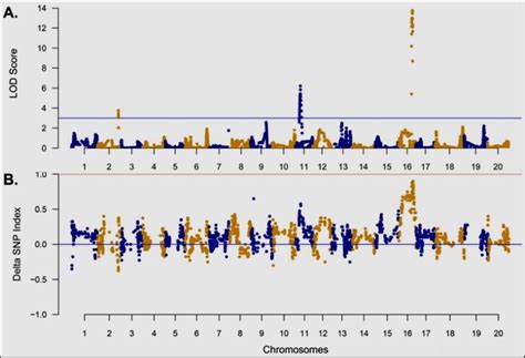 Manhattan Plot Of Qtl Detection Using Cim In Windows Qtl Cartographer