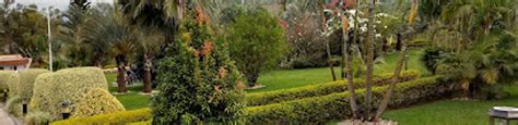 Heaven Garden Rebero A Serene Oasis In Kigali