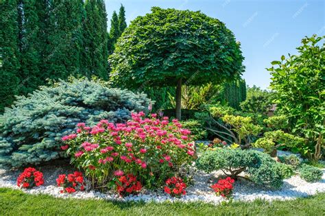 Premium Photo Beautiful Backyard Garden With Nicely Trimmed Trees