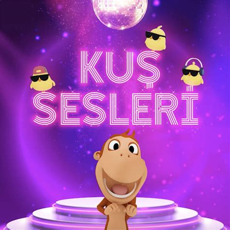 Kuş Sesleri Youtube Music