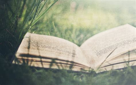 Book Pages As Wallpaper 34 Images