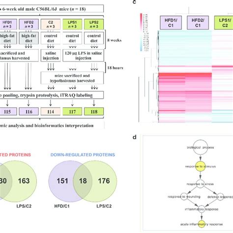 A Overview Of The Proteomics Pipeline B Venn Diagram Description Of