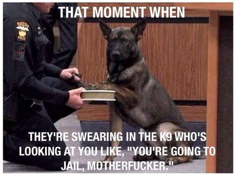 Police Dog Memes