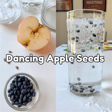 Preschool Apple Math Measurement Activity Friends Art Lab