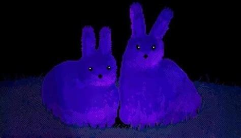 Animal Well Interview Billy Basso On Dunkeys Community The Ostrich