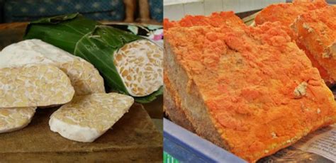 Tempe Dan Oncom Merupakan Produk Asli Indonesia Jelaskan Perbedaan Tempe Dengan Oncom Dalam Hal
