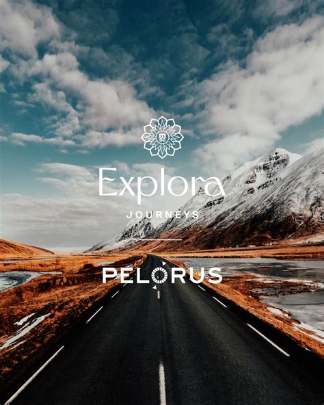 Daniela C Bogdan Posted On Linkedin