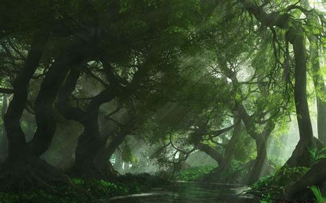 Forest Green Wallpapers 4k Hd Backgrounds On Wallpaperbat