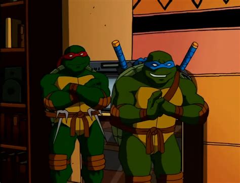 Tmnt 2003 Leo And Raph 2 By Hedwieapotter On Deviantart
