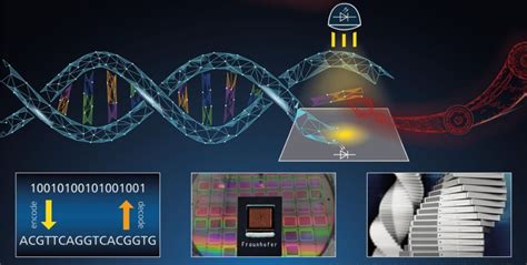 fraunhofer fep working together to shape the microbiological synthesis