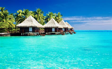 Tropical Paradise Desktop Wallpapers Top Free Tropical Paradise